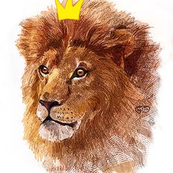 SerJi (세르지) | 텀블벅 - 크리에이터를 위한 크라우드펀딩