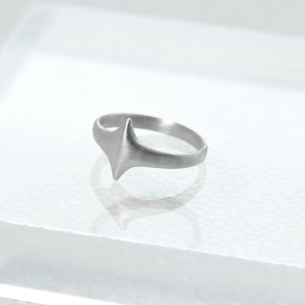 Astra Ring : 밤하늘에 머문 빛 | 텀블벅 - 크리에이터를 위한 크라우드펀딩